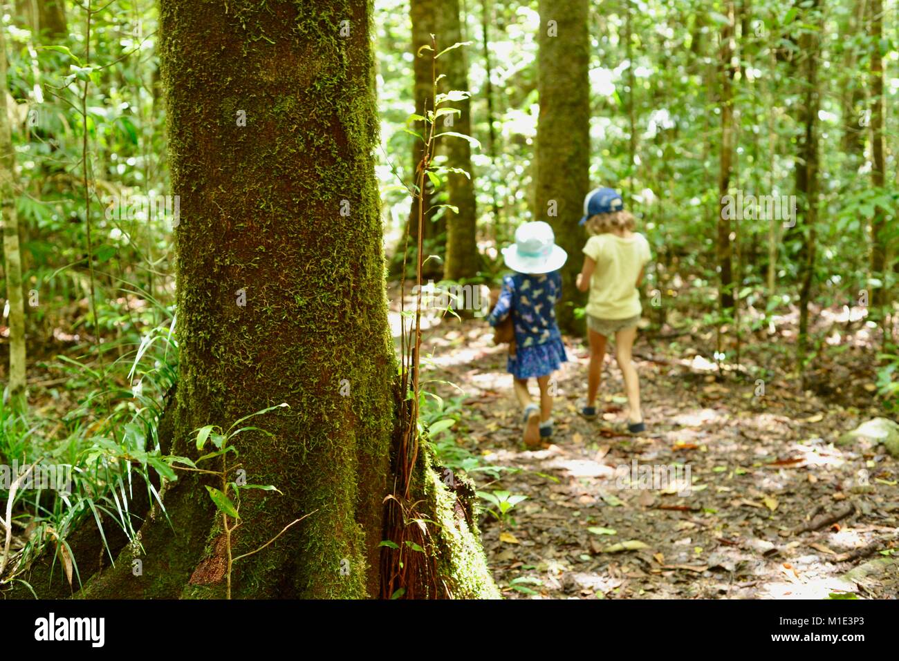 Two girls walking along a track in a rainforest, Paluma range national ...