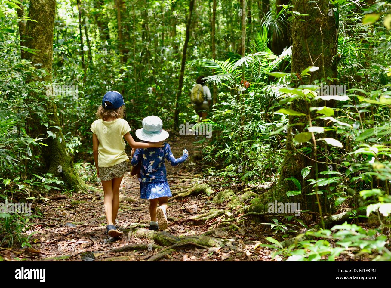 Two girls walking along a track in a rainforest, Paluma range national ...