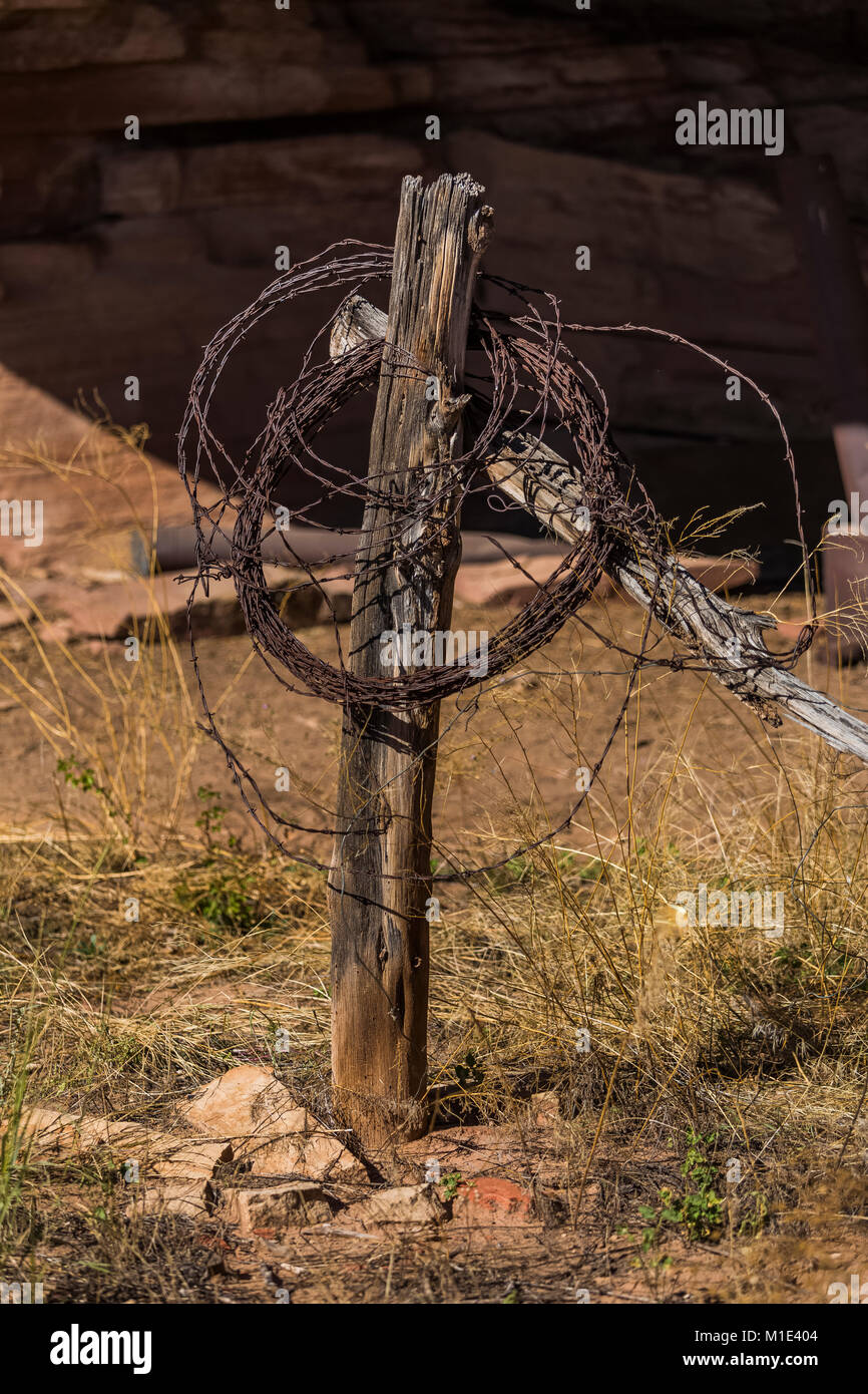 Barbed wire coil hi-res stock photography and images - Alamy