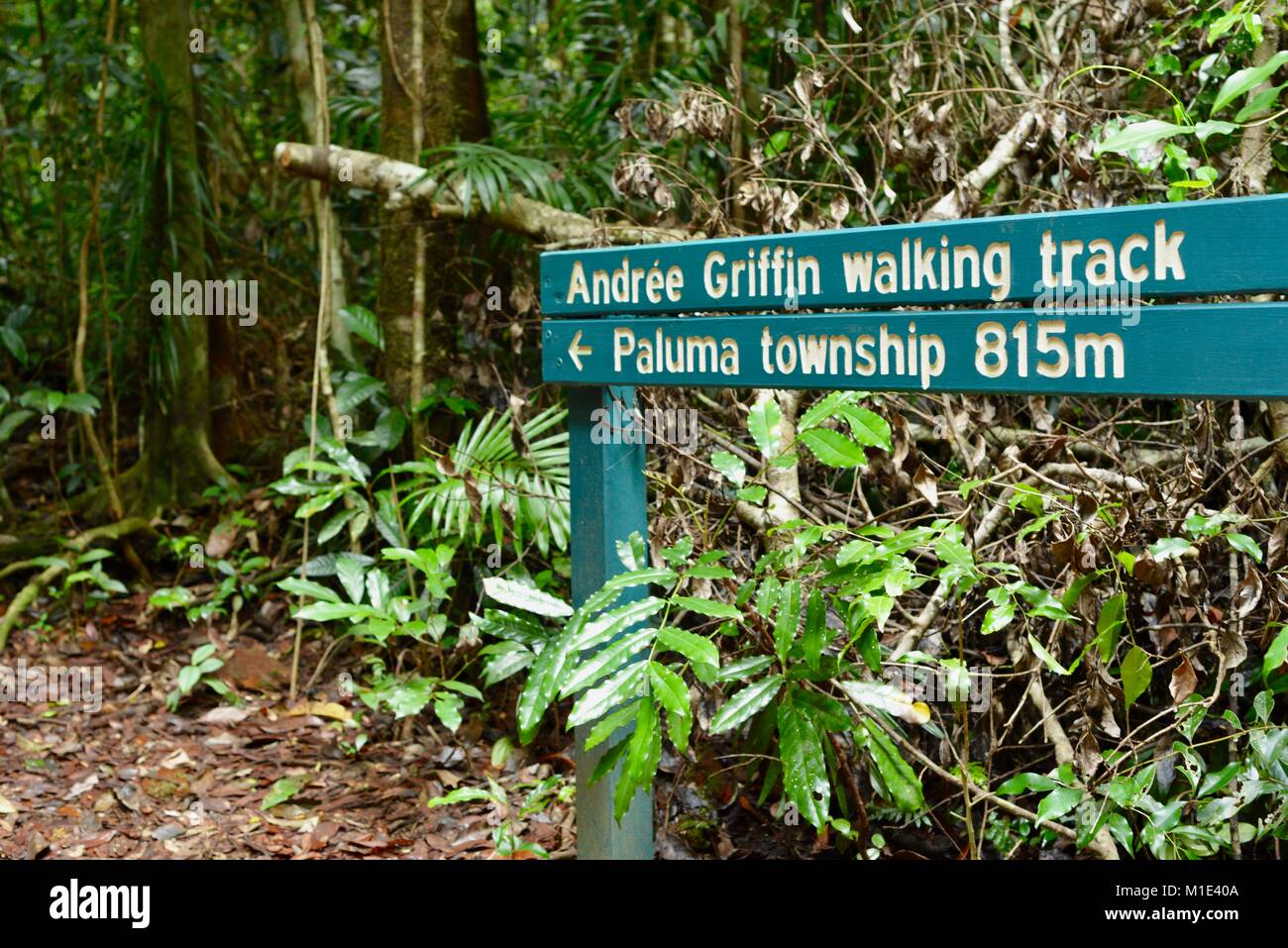 Signs marking the track, Paluma range national park, Queensland ...