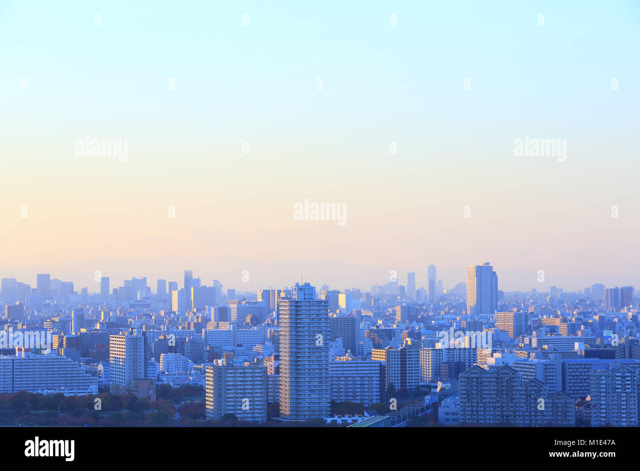 Tokyo cityscape, Tokyo, Japan Stock Photo - Alamy