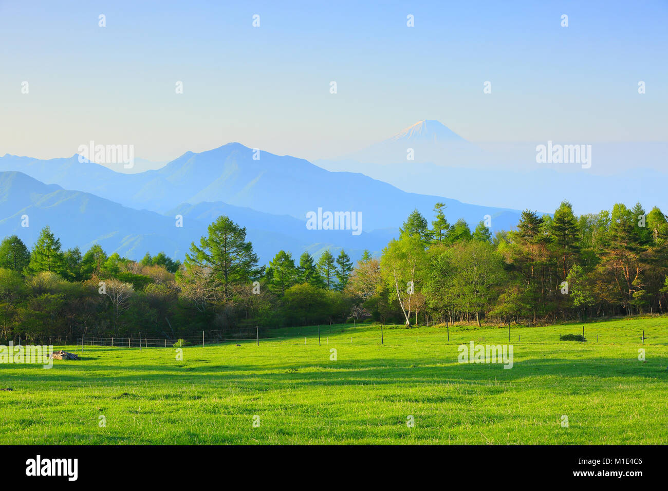 Beautiful summer landscape calm hi-res stock photography and images - Alamy