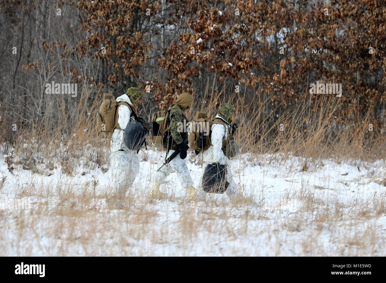 Marines at Fort McCoy for the 2nd Marine Air Wing’s Ullr Shield ...