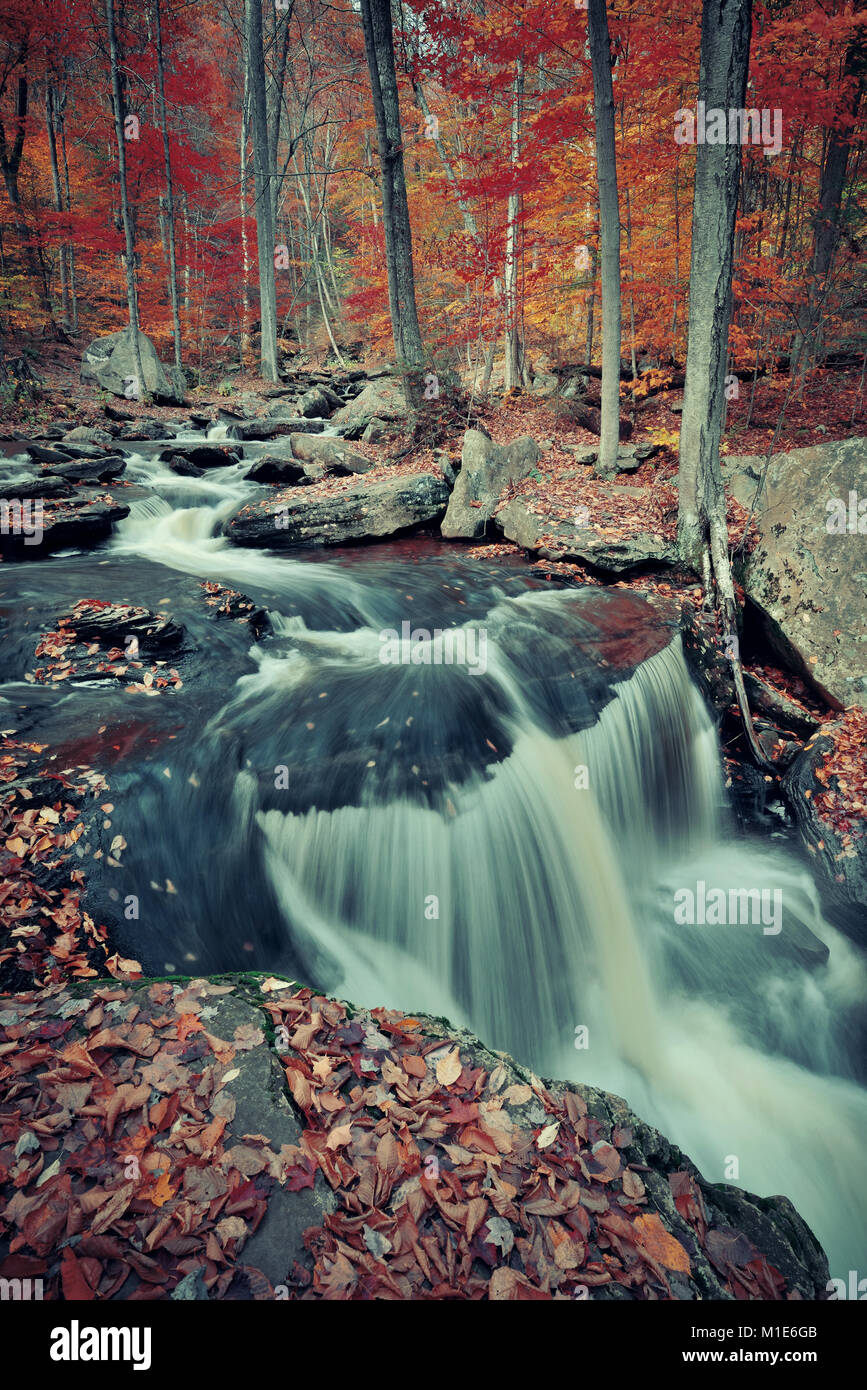 Autumn waterfalls in park with colorful foliage Stock Photo - Alamy
