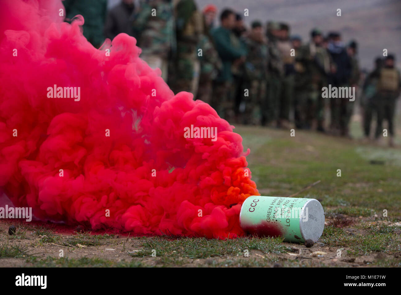 Coalition partners and security force members observe the effects of a ...