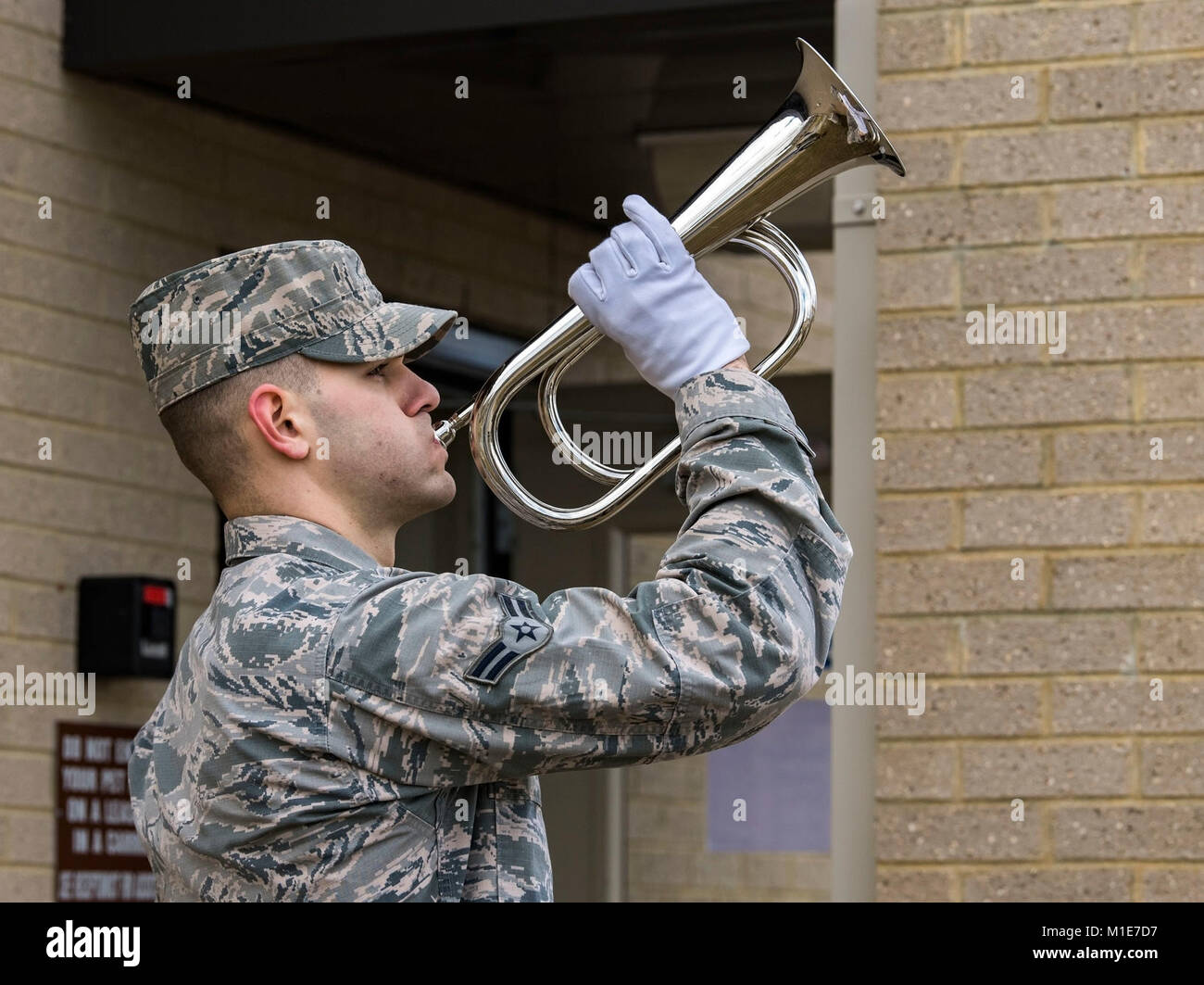 Airman 1st Class Nicholas Miller, 736th Aircraft Maintenance Squadron C ...