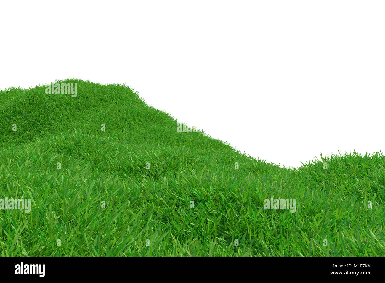Green grass hill isolated on white background. Natural background ...