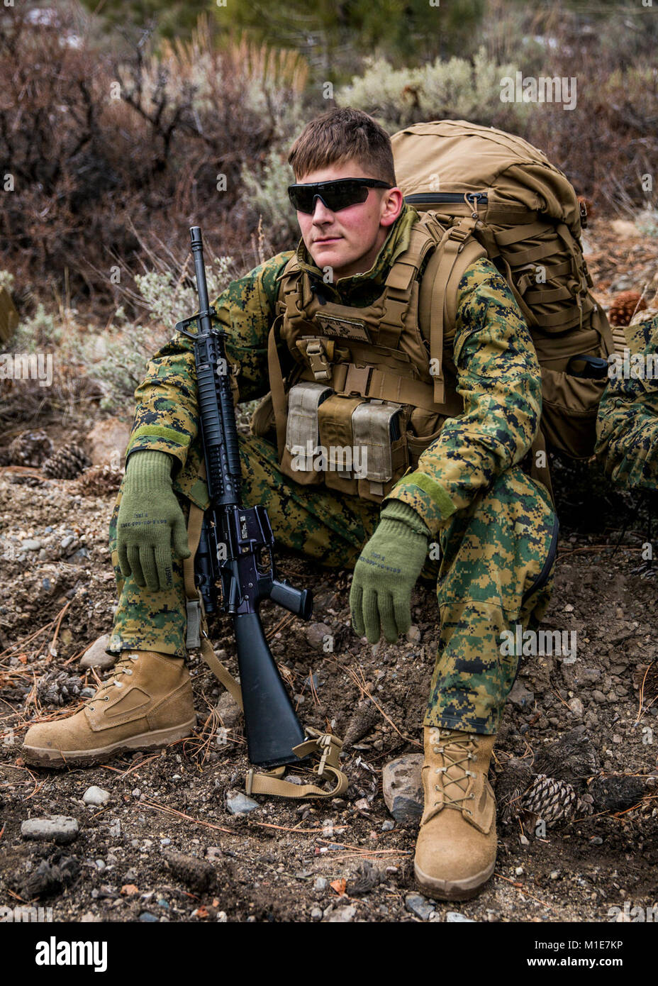 2d low altitude air defense battalion hi-res stock photography and ...