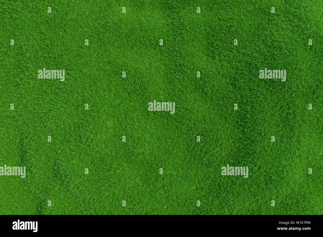 Natural grass texture pattern background. Top view grassy lawn for ...