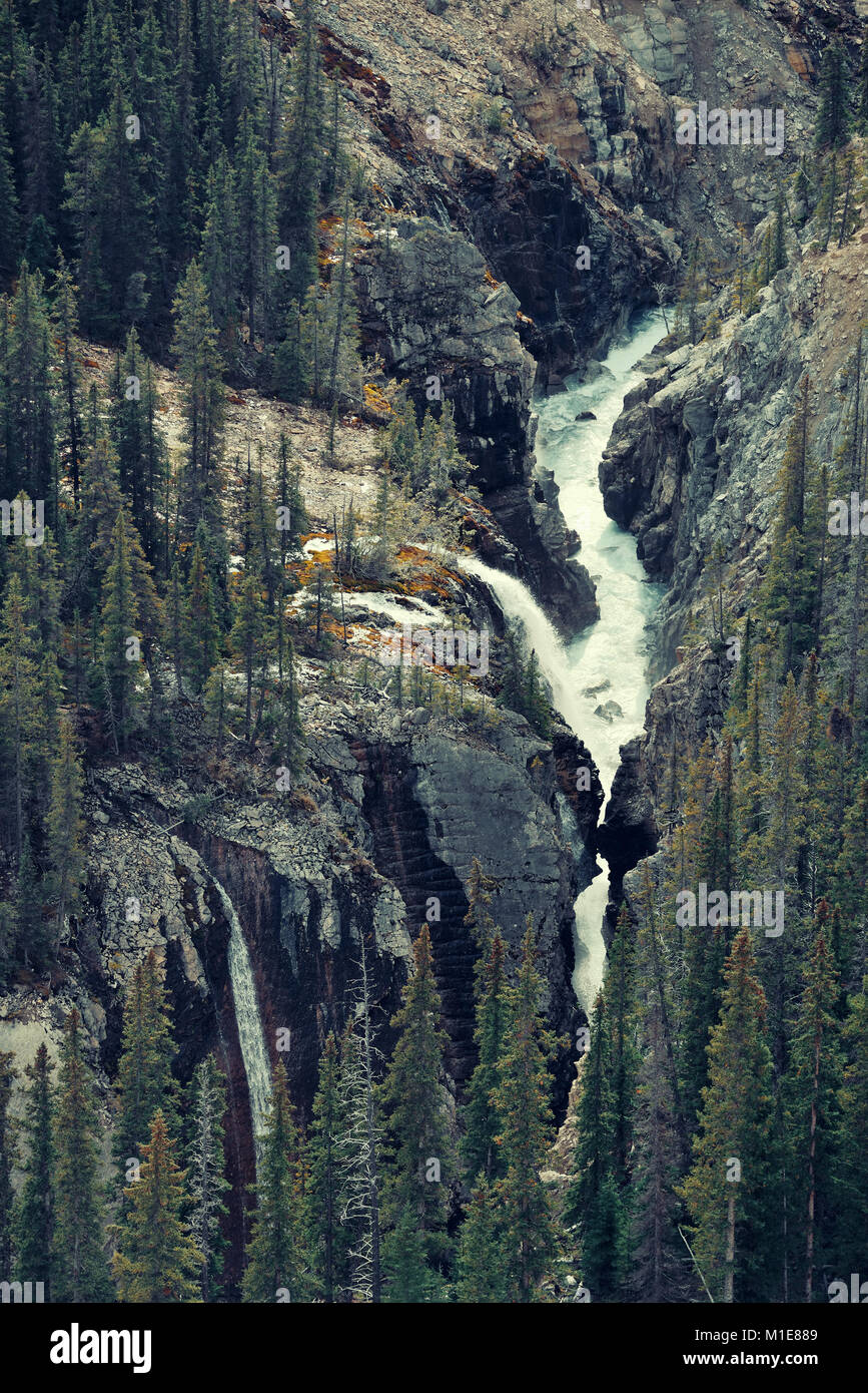 Forest and waterfall in Banff National Park, Canada Stock Photo - Alamy