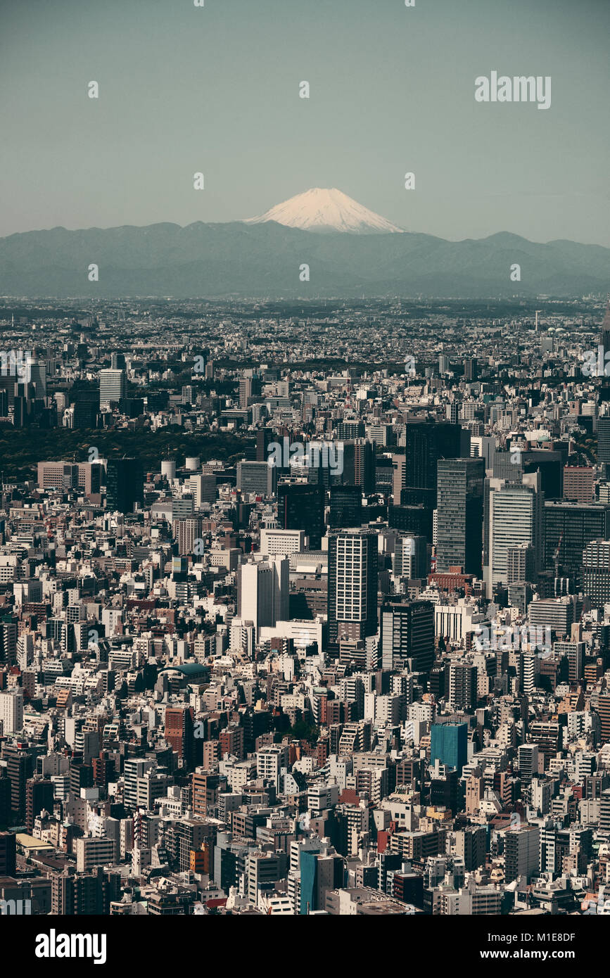 Tokyo urban skyline rooftop view with Mt Fuji, Japan Stock Photo - Alamy