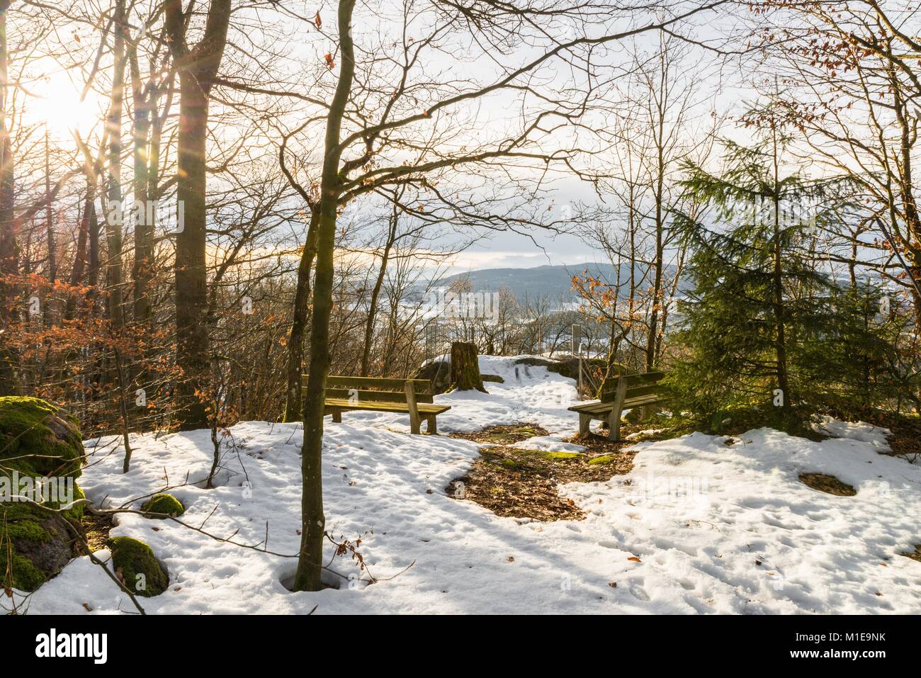 Sightseeing Platform Aussichtsstein-Frauenberg near Grafenau in the ...