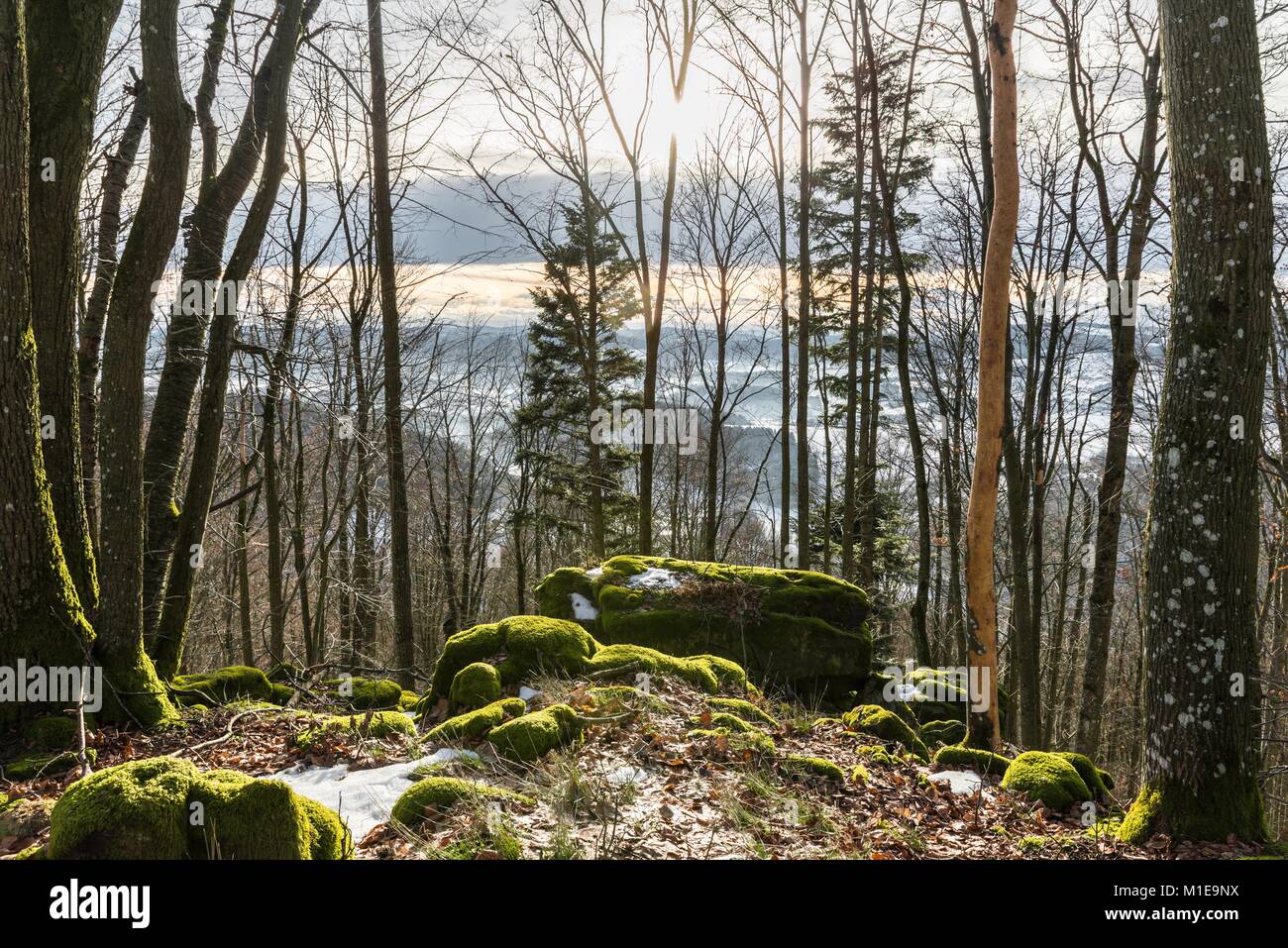 Sightseeing Platform Aussichtsstein-Frauenberg near Grafenau in the ...