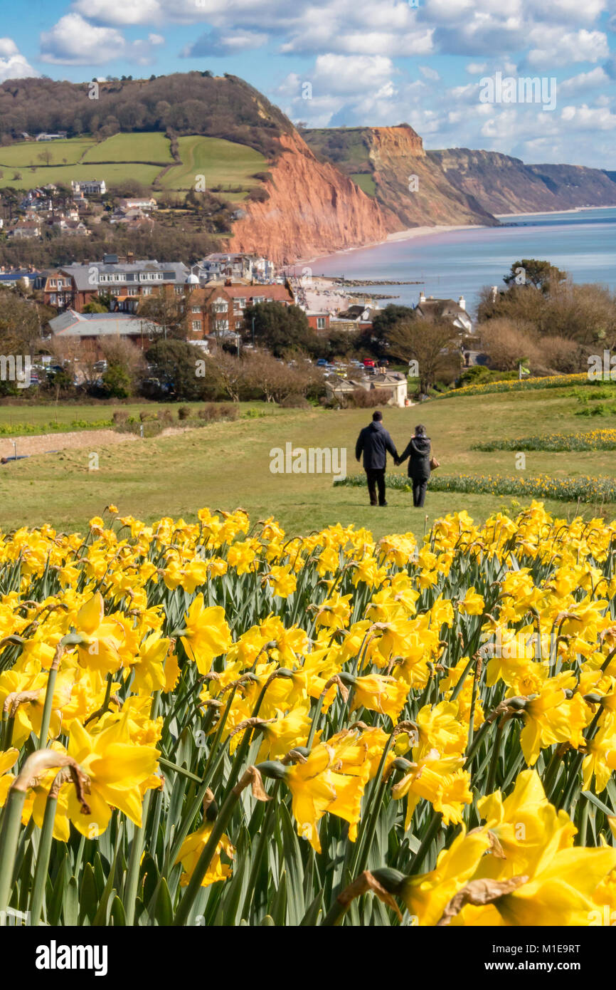 England Devon Sidmouth 31 March, 2016 Beautiful springtime view of this ...