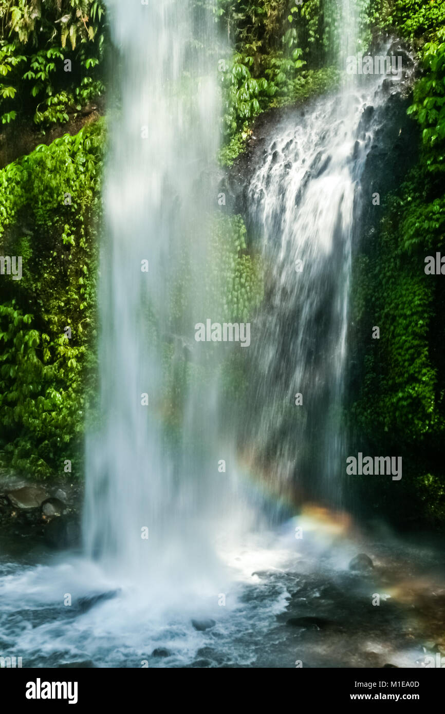Small waterfall in the dense jungle of the tropical island of Lombok ...