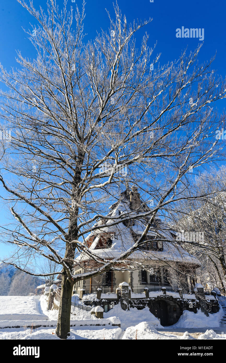 Snowy Chamonix de Mont Blanc on a Christmas Day Stock Photo - Alamy