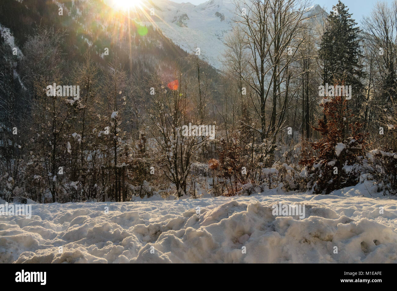Snowy Chamonix de Mont Blanc on a Christmas Day Stock Photo - Alamy