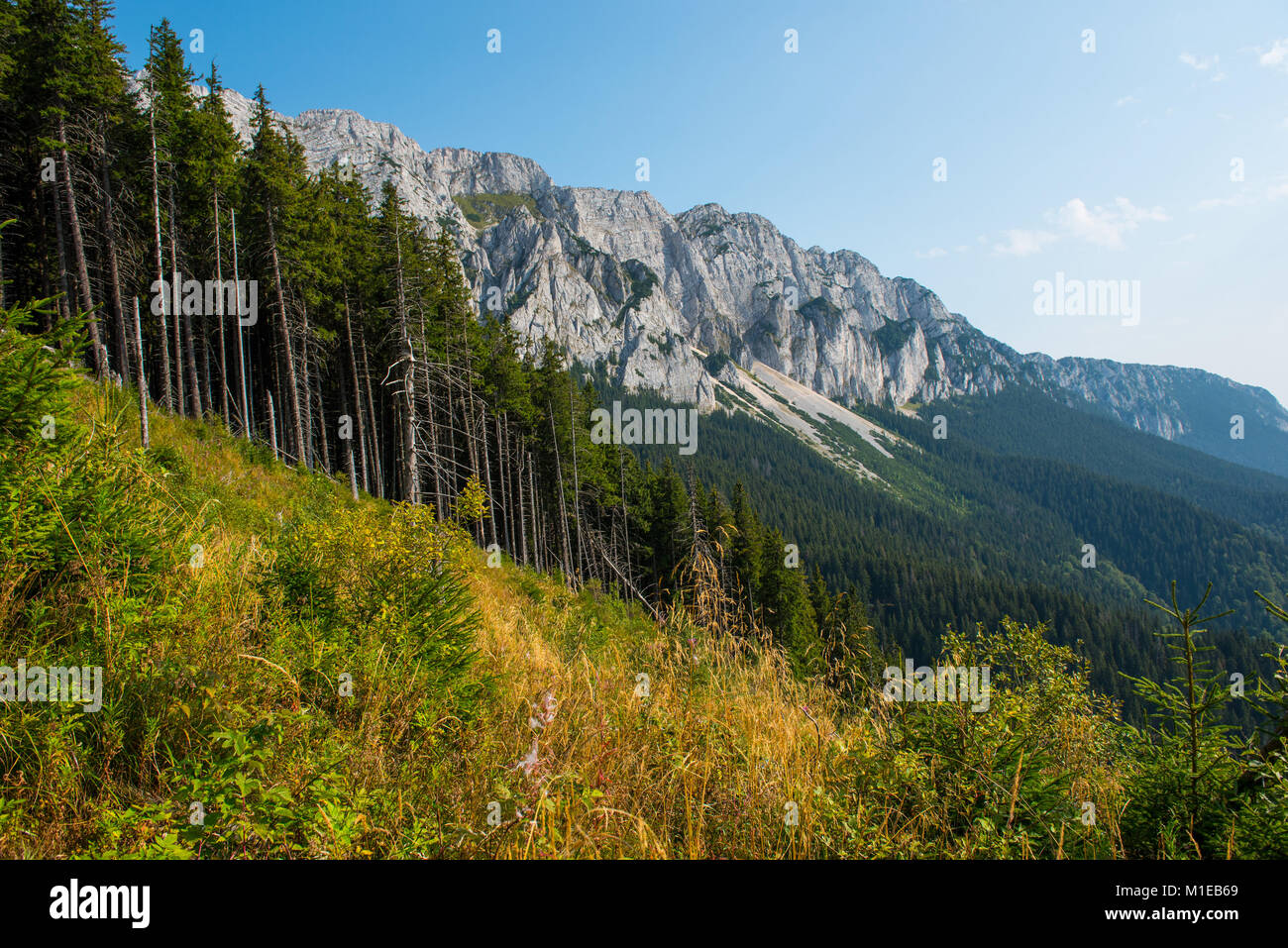 Piatra Craiului limestone mountains. Southern Carpathians, Transylvania ...