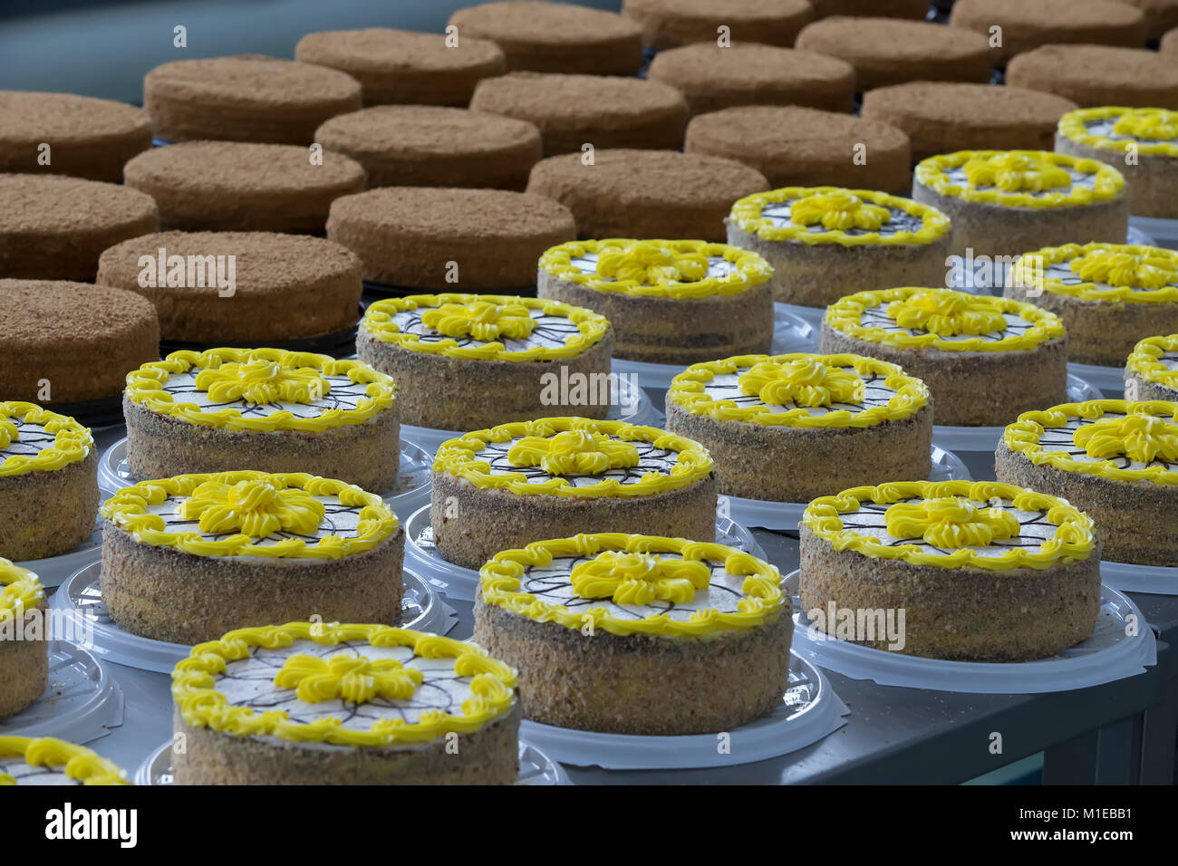Production line of cakes. Many cakes in the culinary shop.Cake and ...