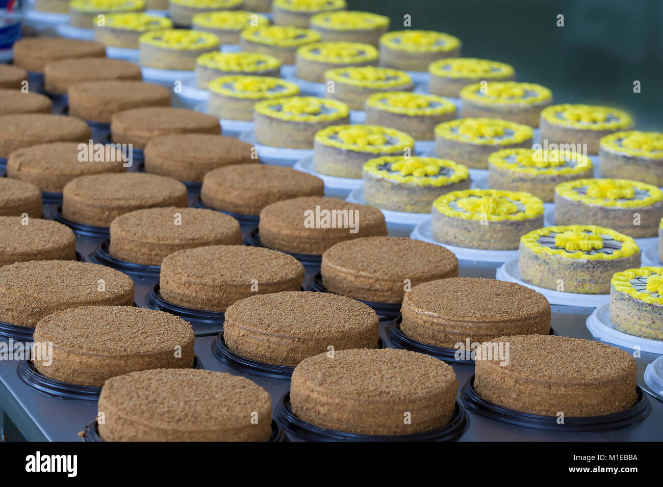Production line of cakes. Many cakes in the culinary shop.Cake and ...