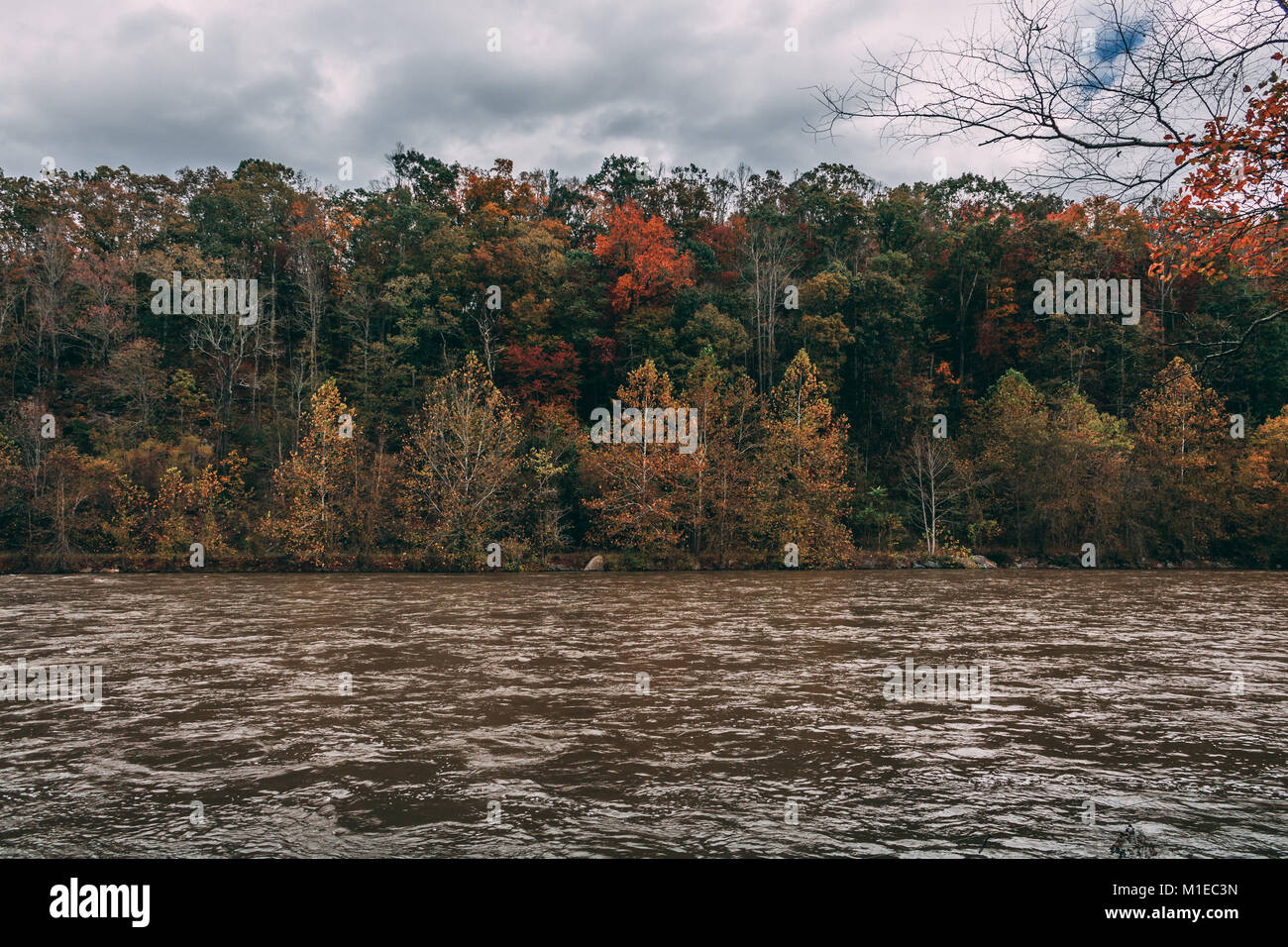 river and trees in Western North Carolina Stock Photo - Alamy