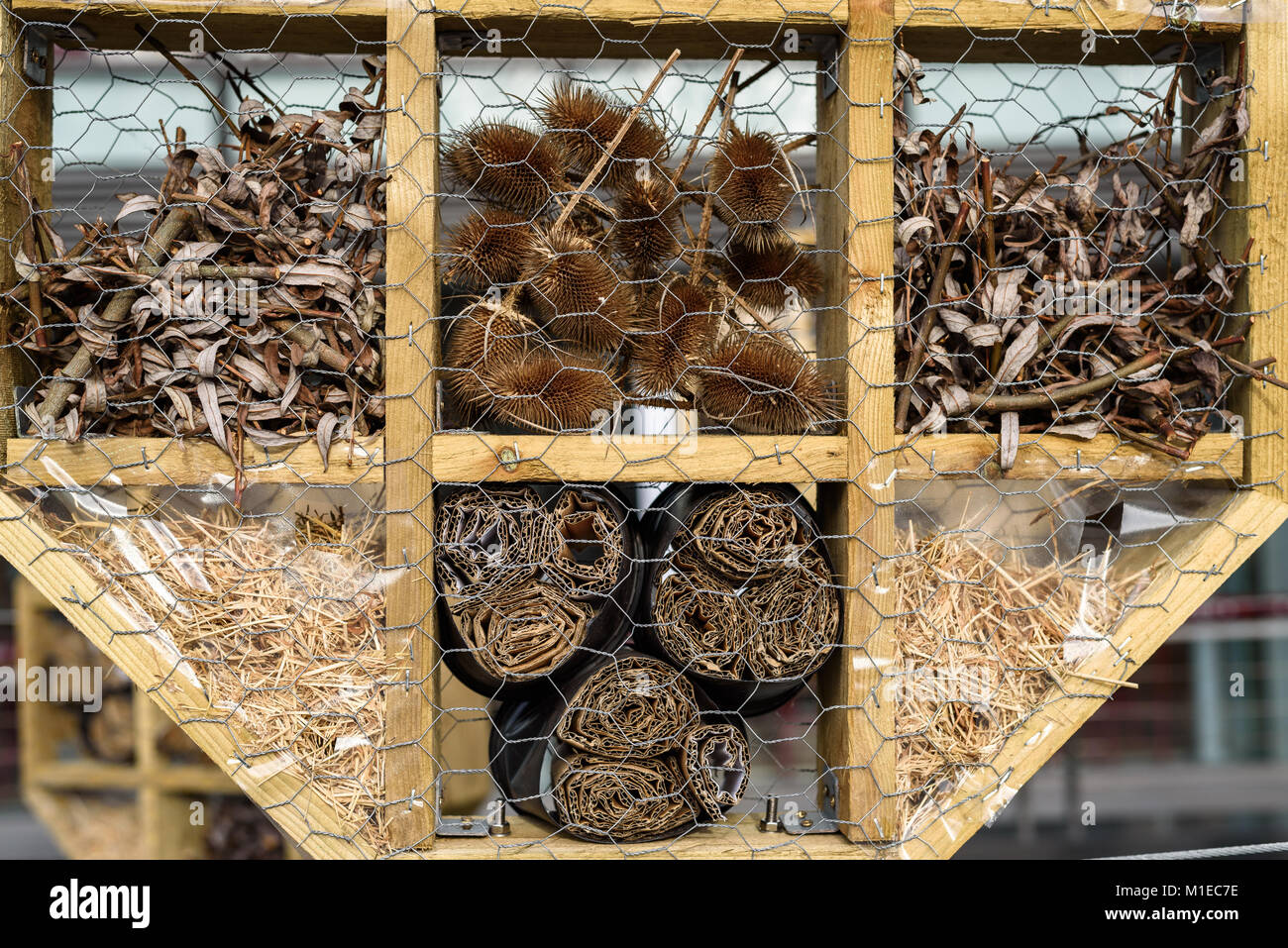 Nature insect shelter hi-res stock photography and images - Alamy