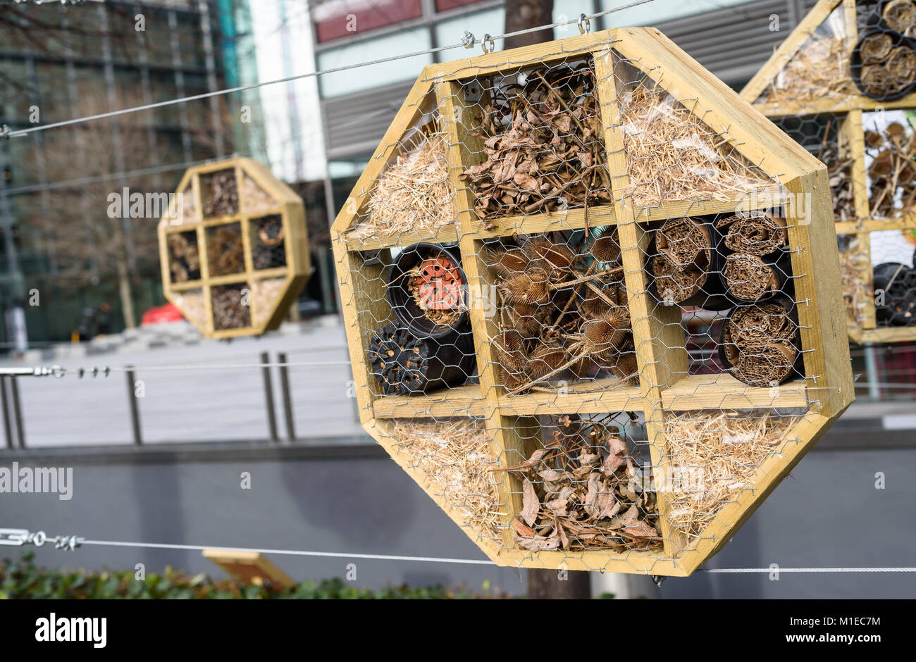 Nature insect shelter hi-res stock photography and images - Alamy