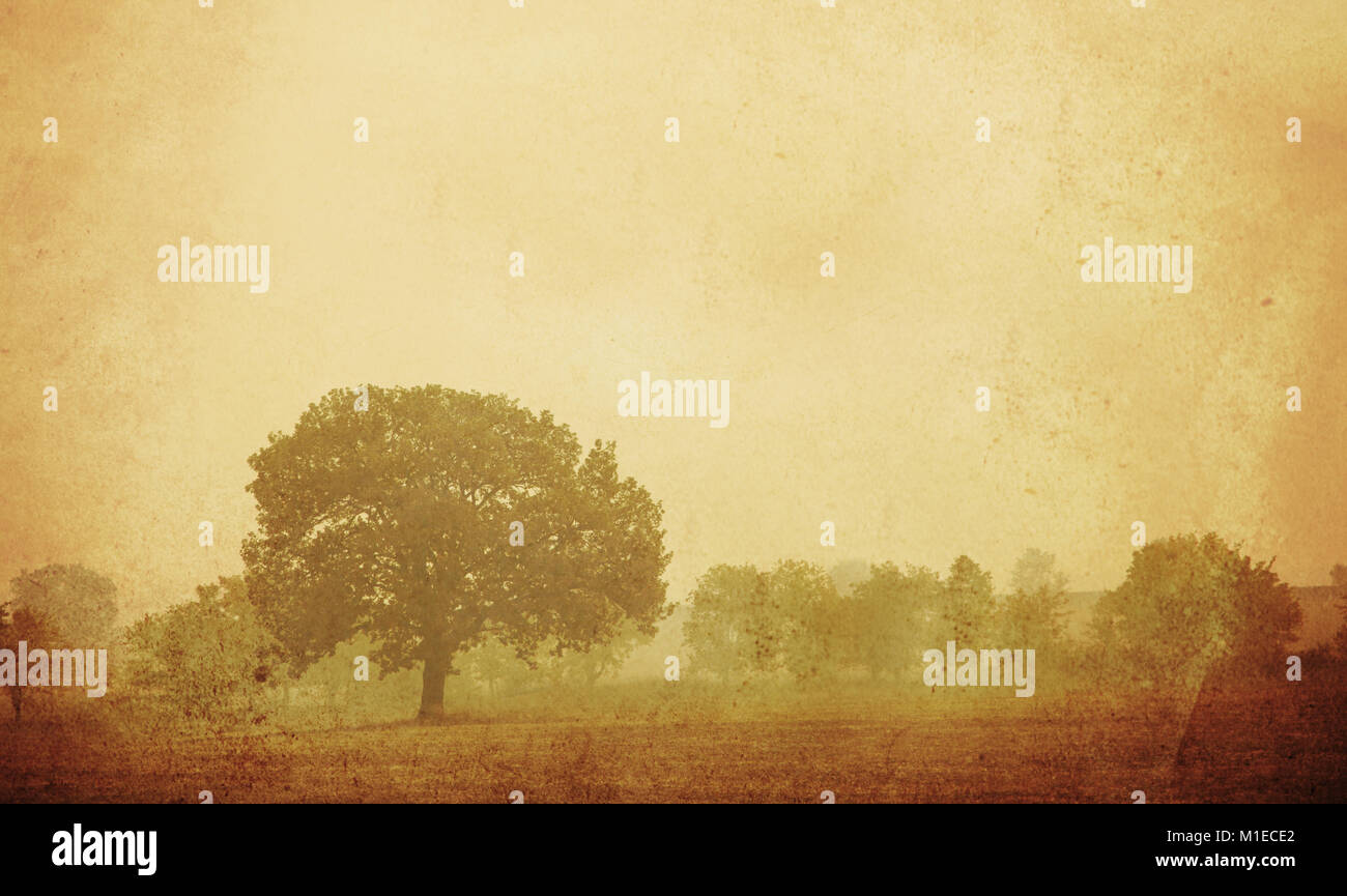 Vintage nature background with several trees, old card with forest ...
