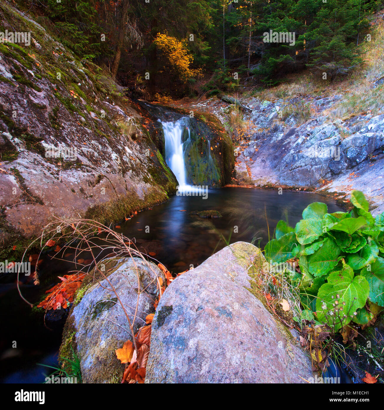 square landscape of small waterfall in autumn forest Stock Photo - Alamy