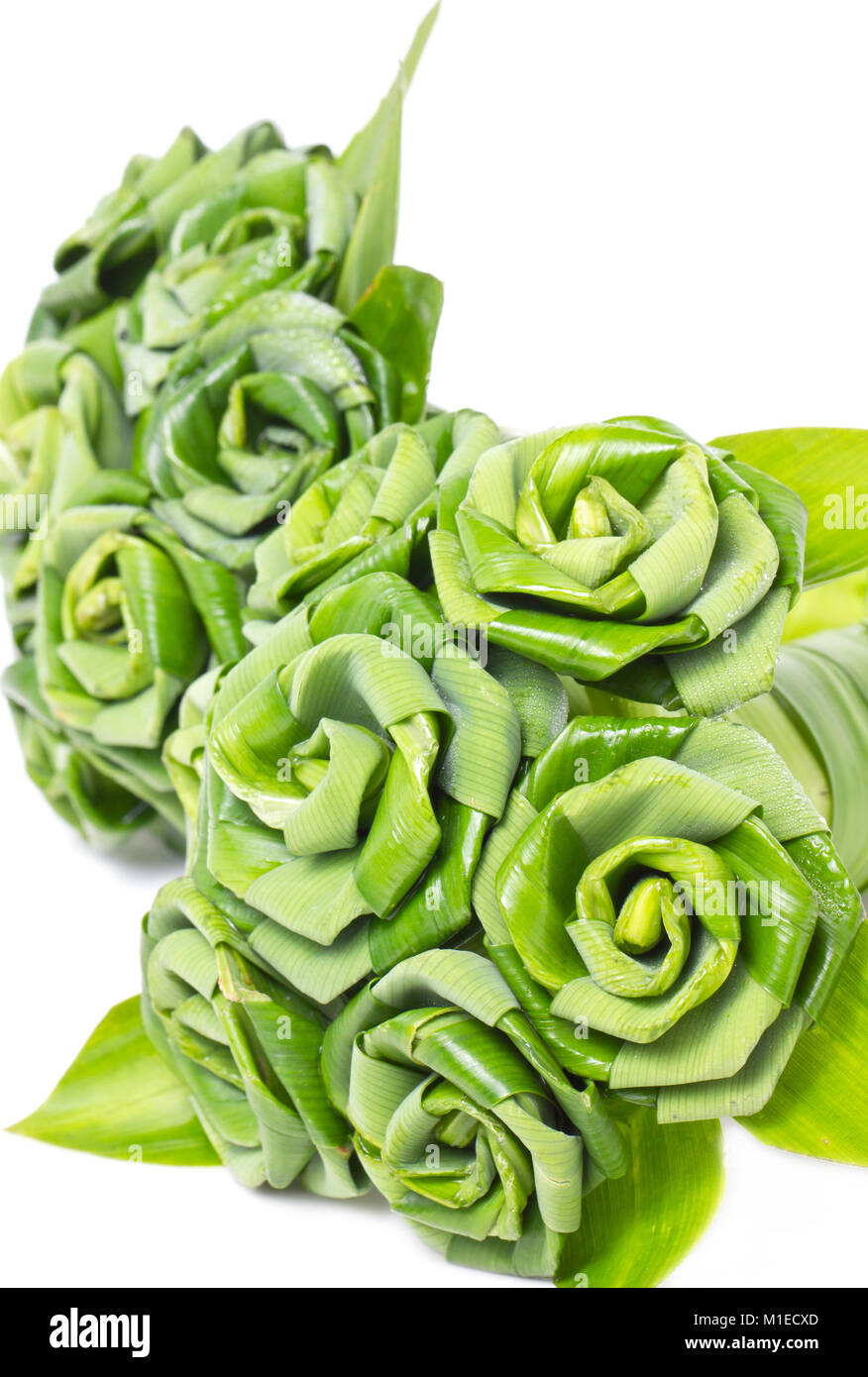 Pandanus Weave High Resolution Stock Photography and Images - Alamy