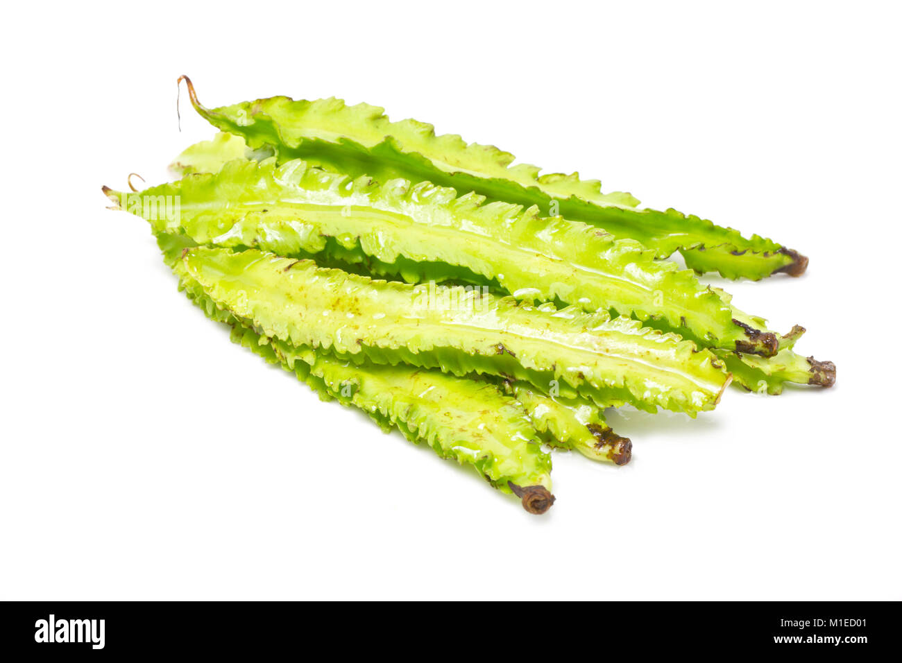 Princess bean isolated on white Stock Photo - Alamy