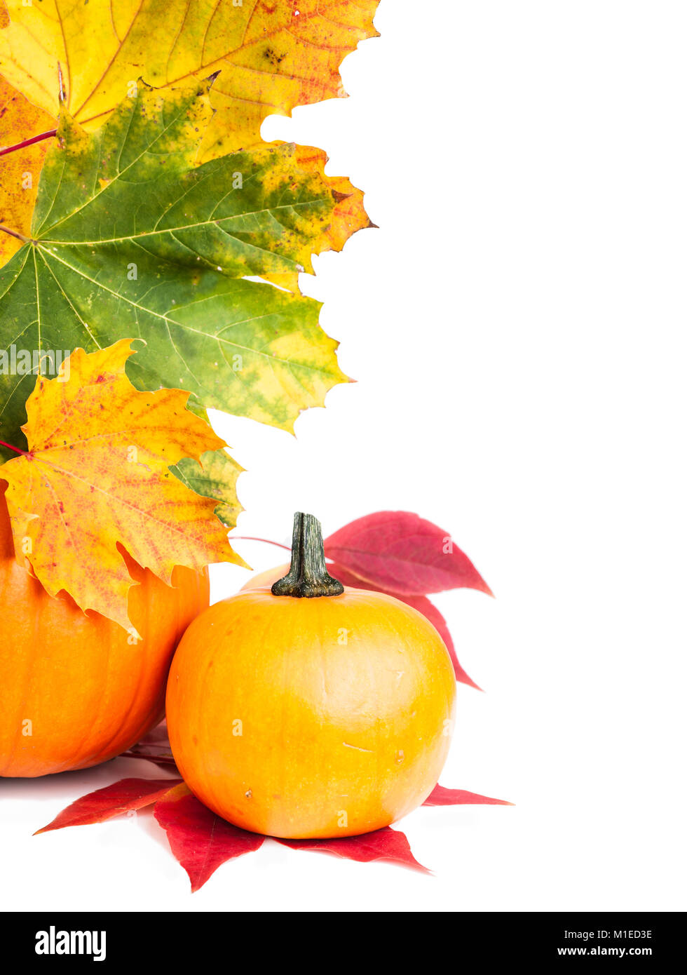 Autumn vertical edge border with pumpkins and Autumn leaves, space ...