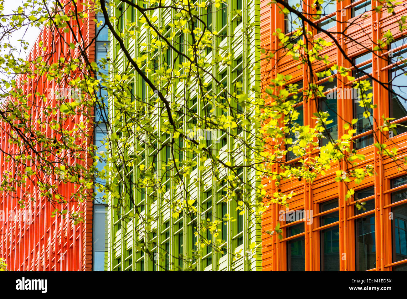 Brightly coloured office buildings in a London street, seen through a ...