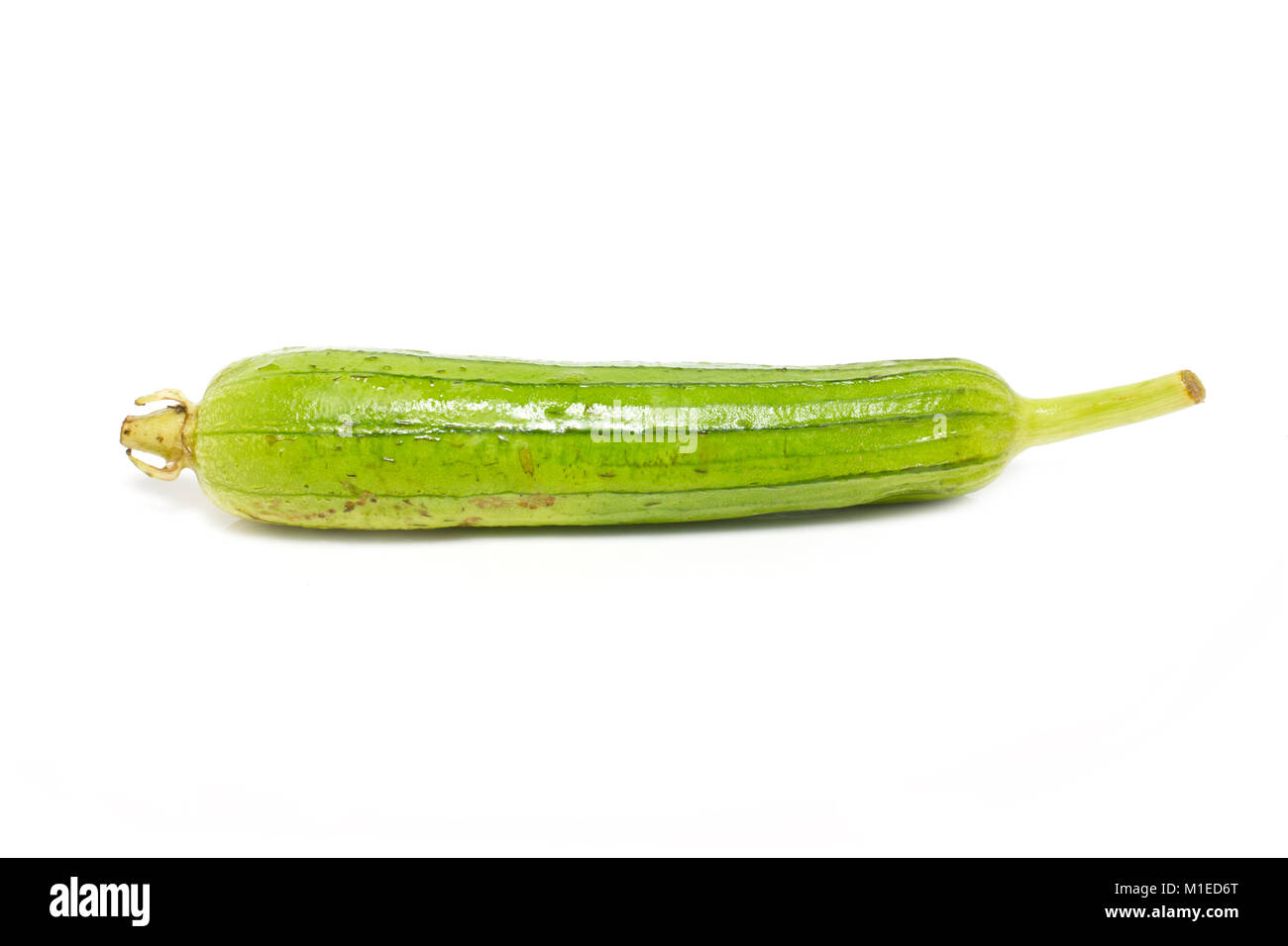 Sponge gourd isolated on white Stock Photo - Alamy