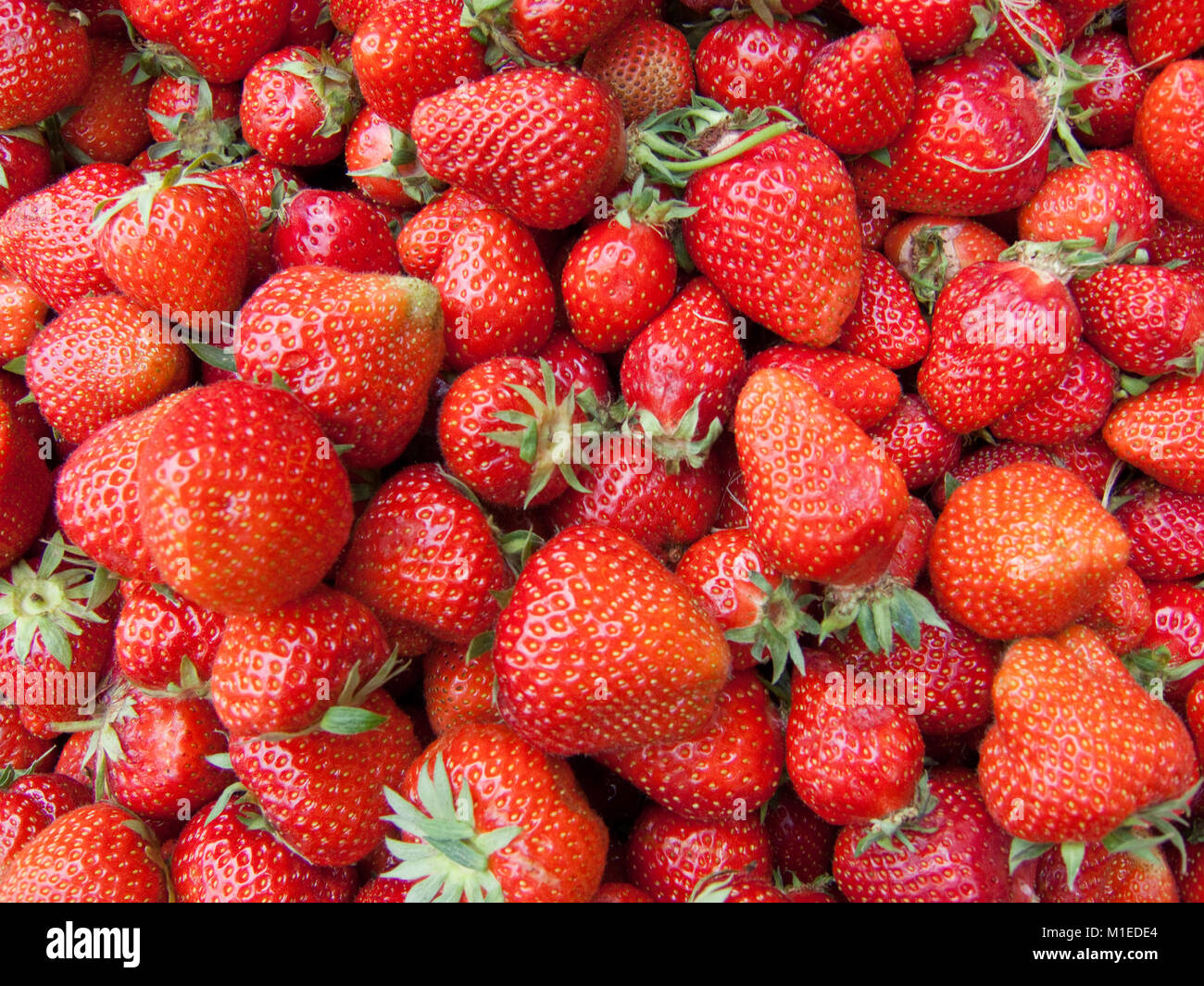 bunch of red strawberries Stock Photo - Alamy