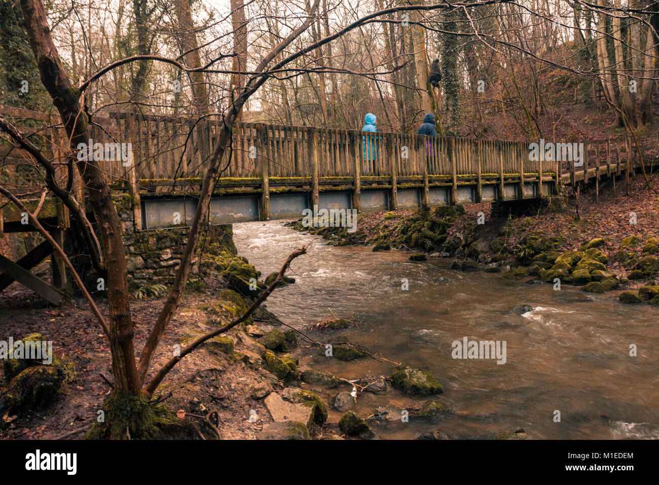 Loggerheads country park hi-res stock photography and images - Alamy