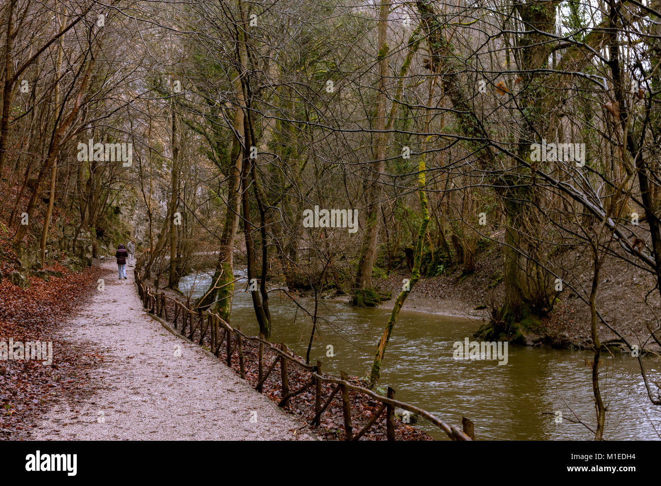 Woodland Walk, Loggerheads Country Park, North Wales. Winter time Stock ...