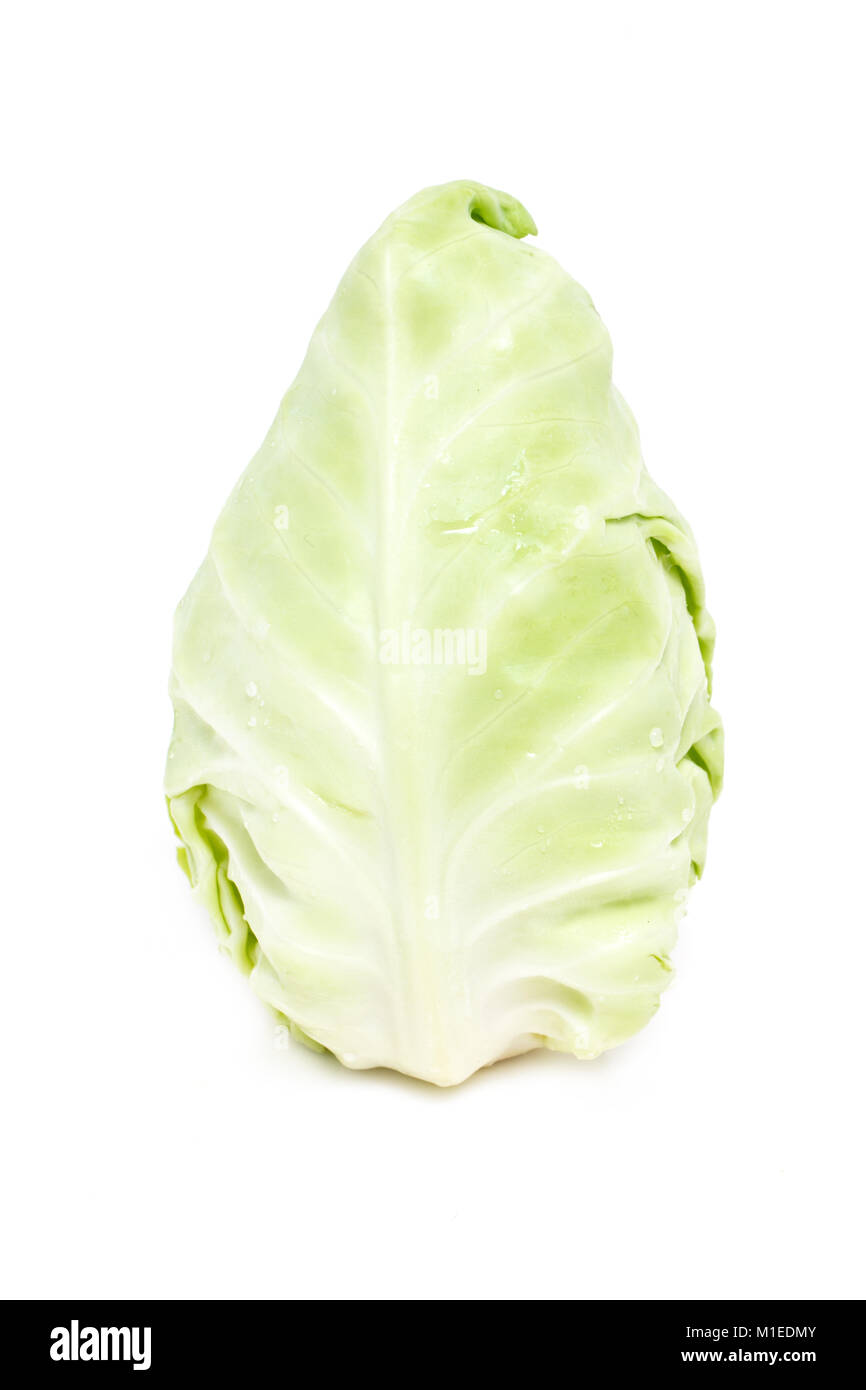White Cabbage isolated on white Stock Photo - Alamy