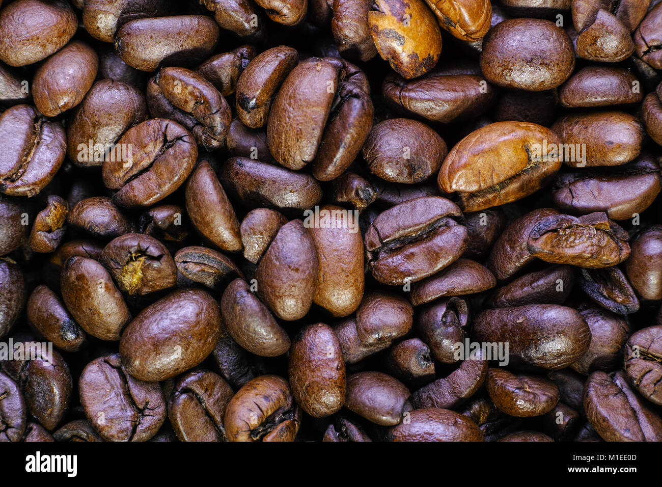 Collection of coffee beans Stock Photo - Alamy