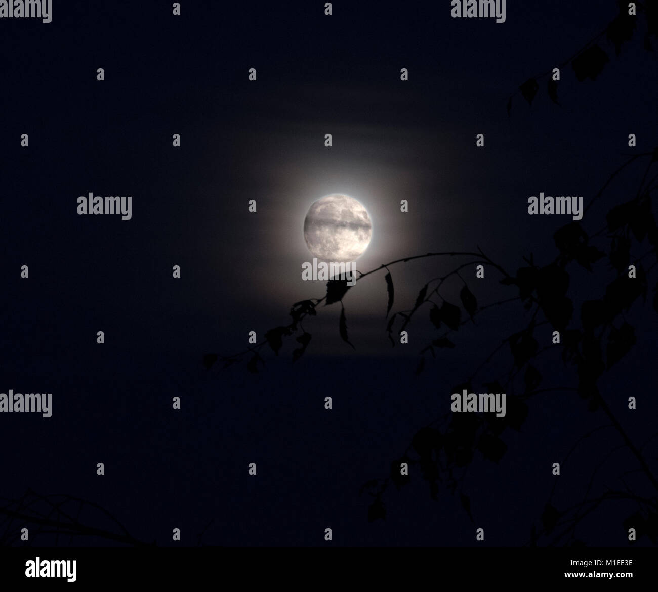 The beautiful full moon in the night sky Stock Photo - Alamy