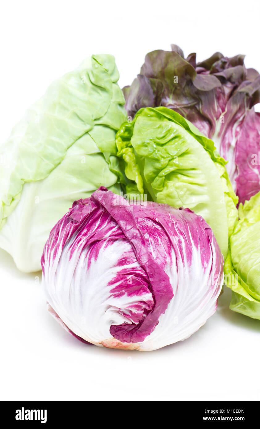 Baby radicchio leaf hi-res stock photography and images - Alamy