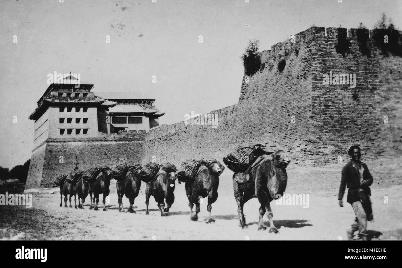 Man leading camel train under tartar wall, Beijing, China, 1900. From ...