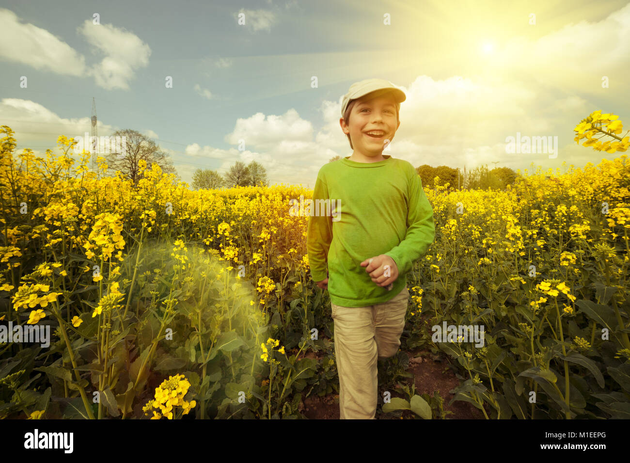 Boy walks through rapeseed field, tinted image Stock Photo - Alamy