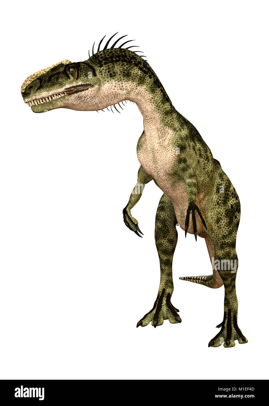 3D rendering of a dinosaur Monolophosaurus isolated on white background ...