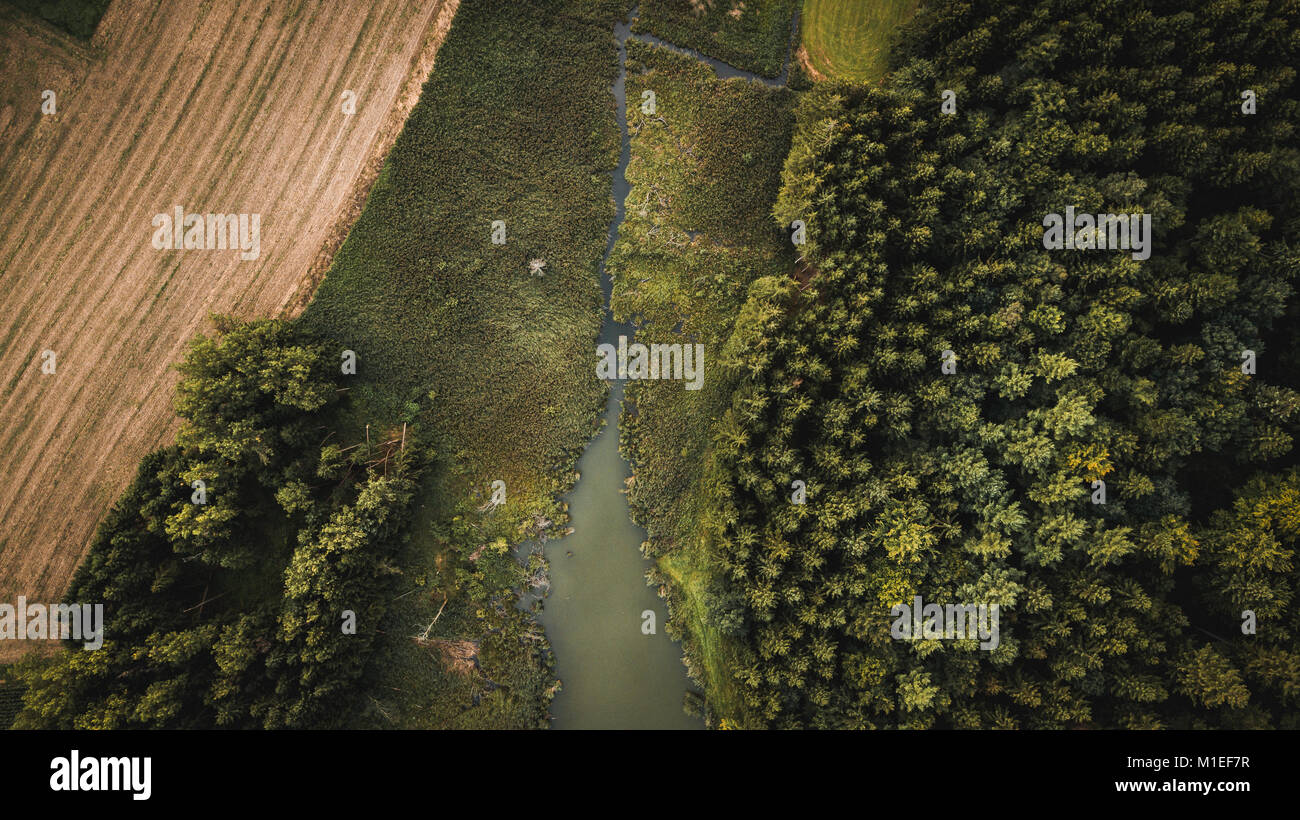Forrest from above Stock Photo - Alamy