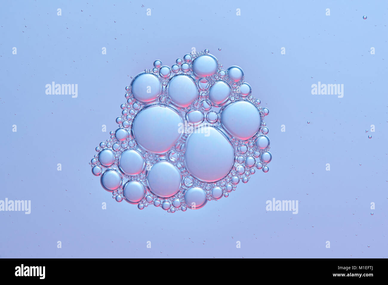 Group of round air bubbles close-up on colorful water surface Stock ...