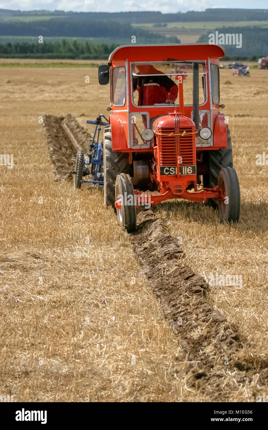 Restored vintage red Case tractor with cab at a ploughing competition ...