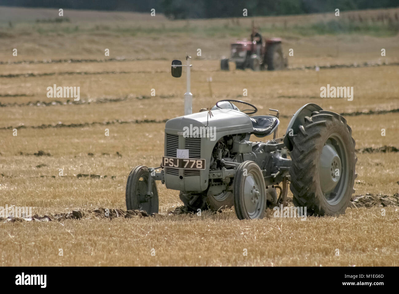 Vintage grey Ferguson tractor with Massey Ferguson in the background ...