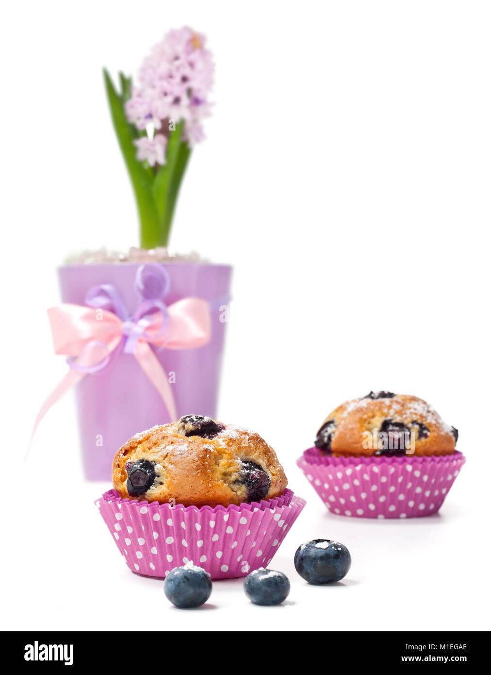 Blueberry muffins and hyacinth in a flower pot isolated Stock Photo - Alamy