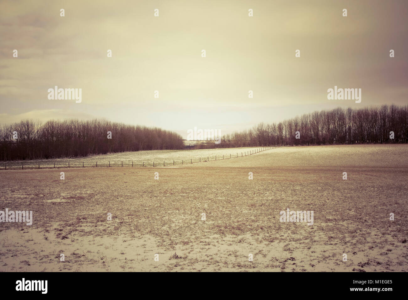 Moody winter landscape trees and fields Stock Photo - Alamy